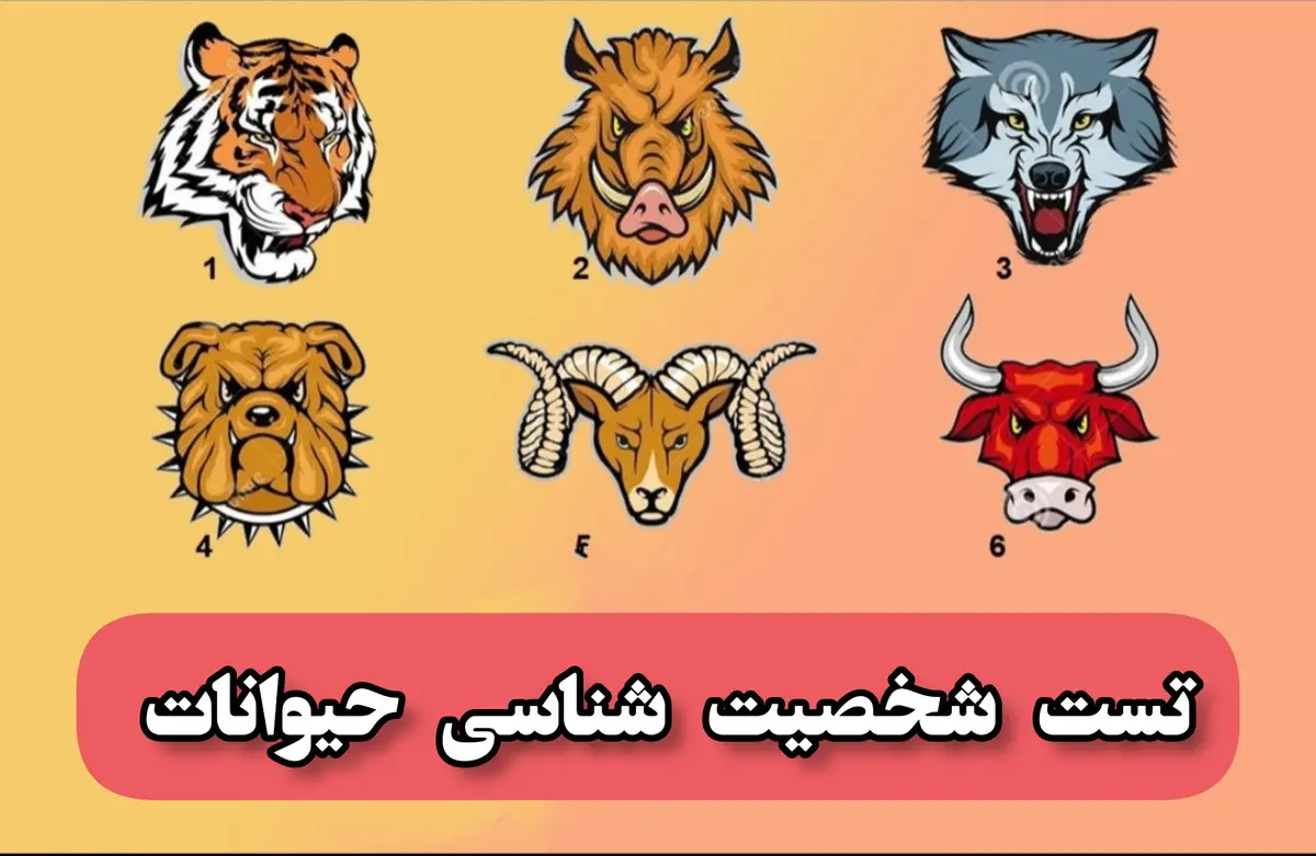 تست شخصیت شناسی حیوانات ویژگی شخصیتی از روی حیوان مورد علاقه تان
